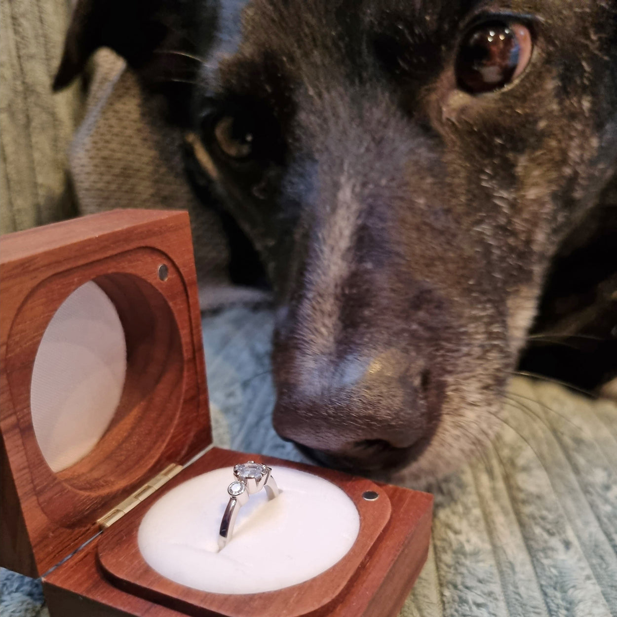 Bespoke Engagement Rings – Lilia Nash Jewellery